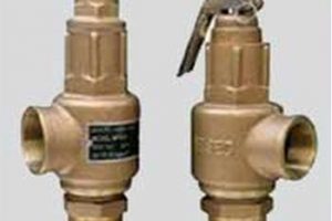 HISEC Safety Valve | GCS